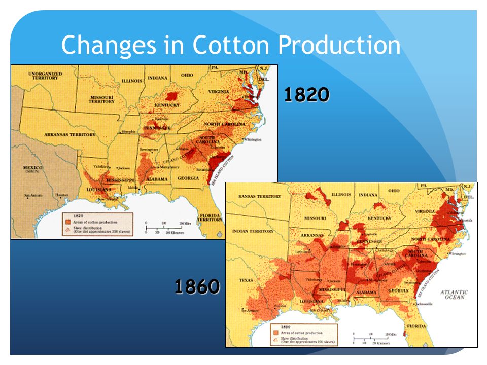 Changes+in+Cotton+Production – Occidental Dissent